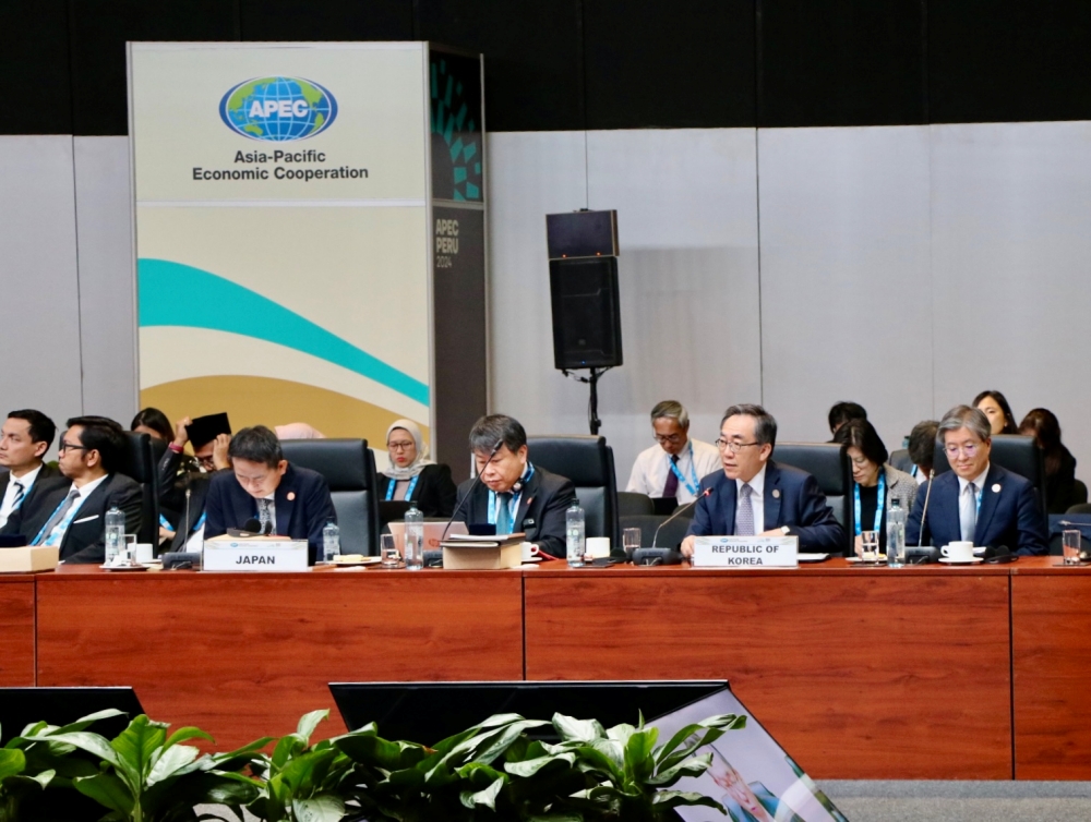 2024 APEC Ministerial Meeting (AMM) Outcomes View|Ministry News ...